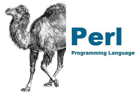 How to create and run a Perl script in Ubuntu 20.04 LTS - Ubuntu