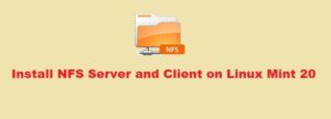 How to Configure NFS Server and Client on Linux Mint 20 – LinuxWays