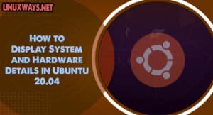 How to Display System and Hardware Details in Ubuntu 20.04 – LinuxWays