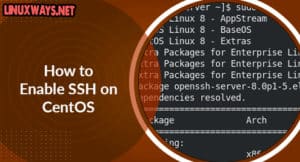 How to Enable SSH on CentOS – LinuxWays