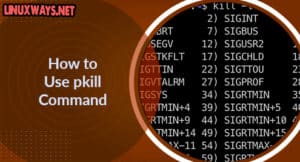 How to Use pkill Command – LinuxWays