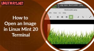 How to Open an Image in Linux Mint 20 Terminal – LinuxWays
