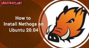 How to Install Nethogs on Ubuntu 20.04 – LinuxWays