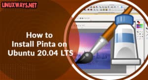 How to Install Pinta on Ubuntu 20.04 LTS – LinuxWays