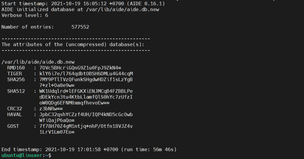 How to Install AIDE on Ubuntu 20.04 – LinuxWays