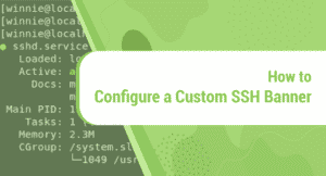 How to Configure a Custom SSH Banner – LinuxWays