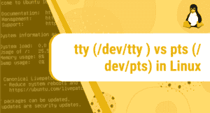 tty (/dev/tty ) vs pts (/dev/pts) in Linux – LinuxWays