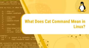 What Does Cat Command Mean in Linux? – LinuxWays