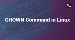 CHOWN Command in Linux – LinuxWays