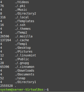 DU Command Linux – LinuxWays