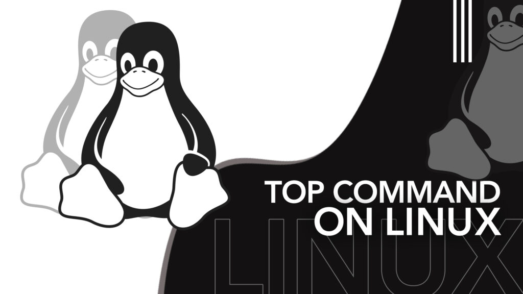 top Command on Linux – LinuxWays