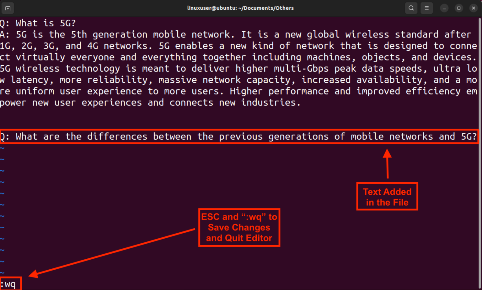 How to Exit/Quit Linux Vi Editor With or Without Saving Changes in ...