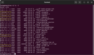How to Check Executable File in Linux/Ubuntu? – LinuxWays