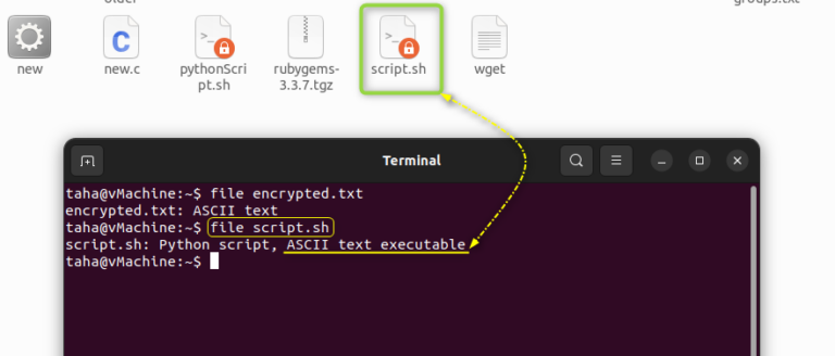 How to Check Executable File in Linux/Ubuntu? – LinuxWays