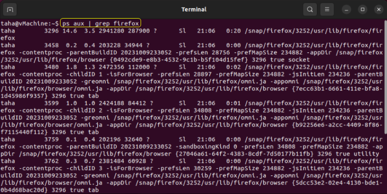 How to Kill Processes in Ubuntu 22.04? – LinuxWays