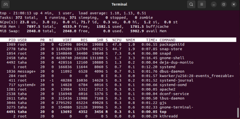 How to Kill Processes in Ubuntu 22.04? – LinuxWays