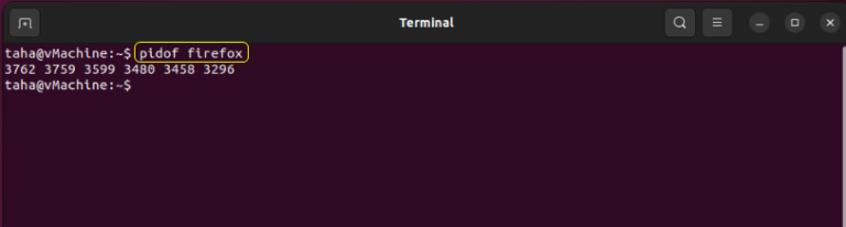 How to Kill Processes in Ubuntu 22.04? – LinuxWays