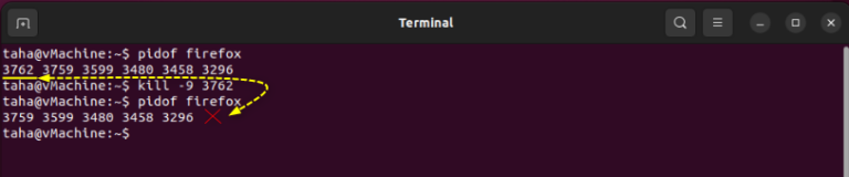 How to Kill Processes in Ubuntu 22.04? – LinuxWays