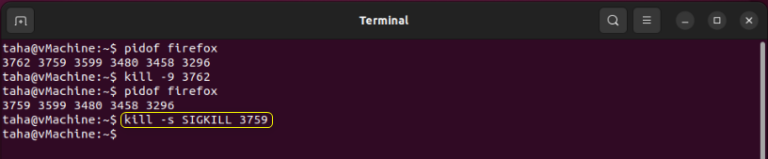 How to Kill Processes in Ubuntu 22.04? – LinuxWays