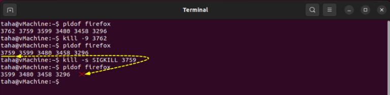 How to Kill Processes in Ubuntu 22.04? – LinuxWays
