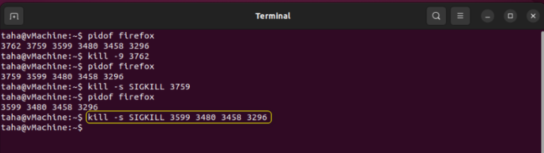 How to Kill Processes in Ubuntu 22.04? – LinuxWays
