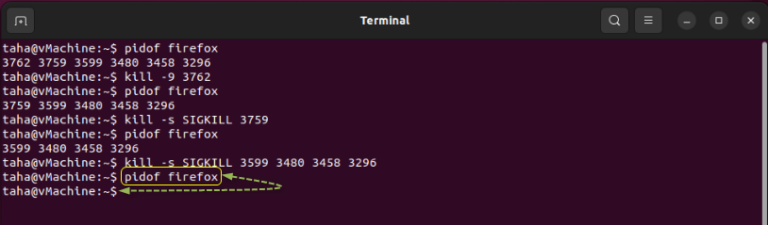 How to Kill Processes in Ubuntu 22.04? – LinuxWays