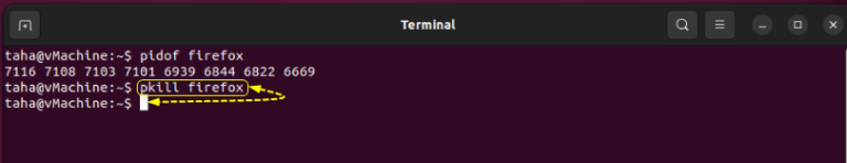 How to Kill Processes in Ubuntu 22.04? – LinuxWays