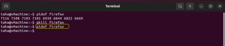 How to Kill Processes in Ubuntu 22.04? – LinuxWays