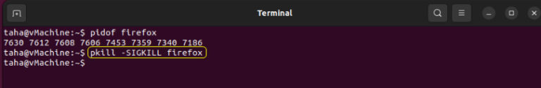 How to Kill Processes in Ubuntu 22.04? – LinuxWays