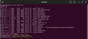 How to Save Terminal Output to a File in Ubuntu? – LinuxWays