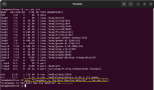 How to Save Terminal Output to a File in Ubuntu? – LinuxWays