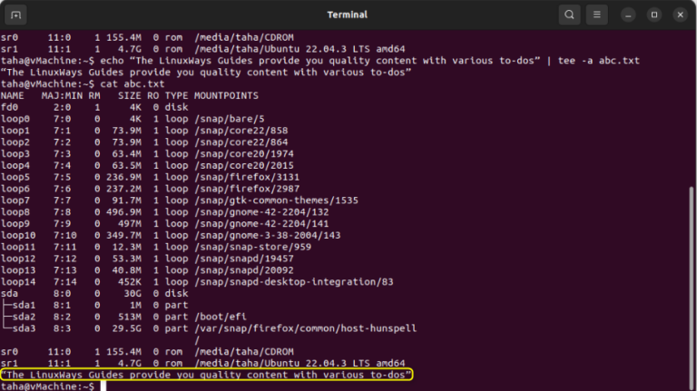 How To Save Terminal Output To A File In Ubuntu Linuxways 7218