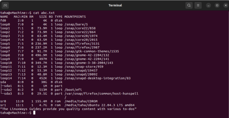 How to Save Terminal Output to a File in Ubuntu? – LinuxWays