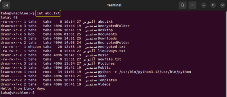 How To Save Terminal Output To A File In Ubuntu Linuxways 9195