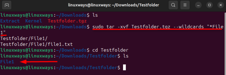 How to unzip .tgz File Using the Terminal? – LinuxWays