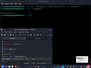 Type Casting in C Language – LinuxWays