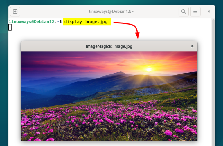 How To install and Use ImageMagick on Debian 12 – LinuxWays
