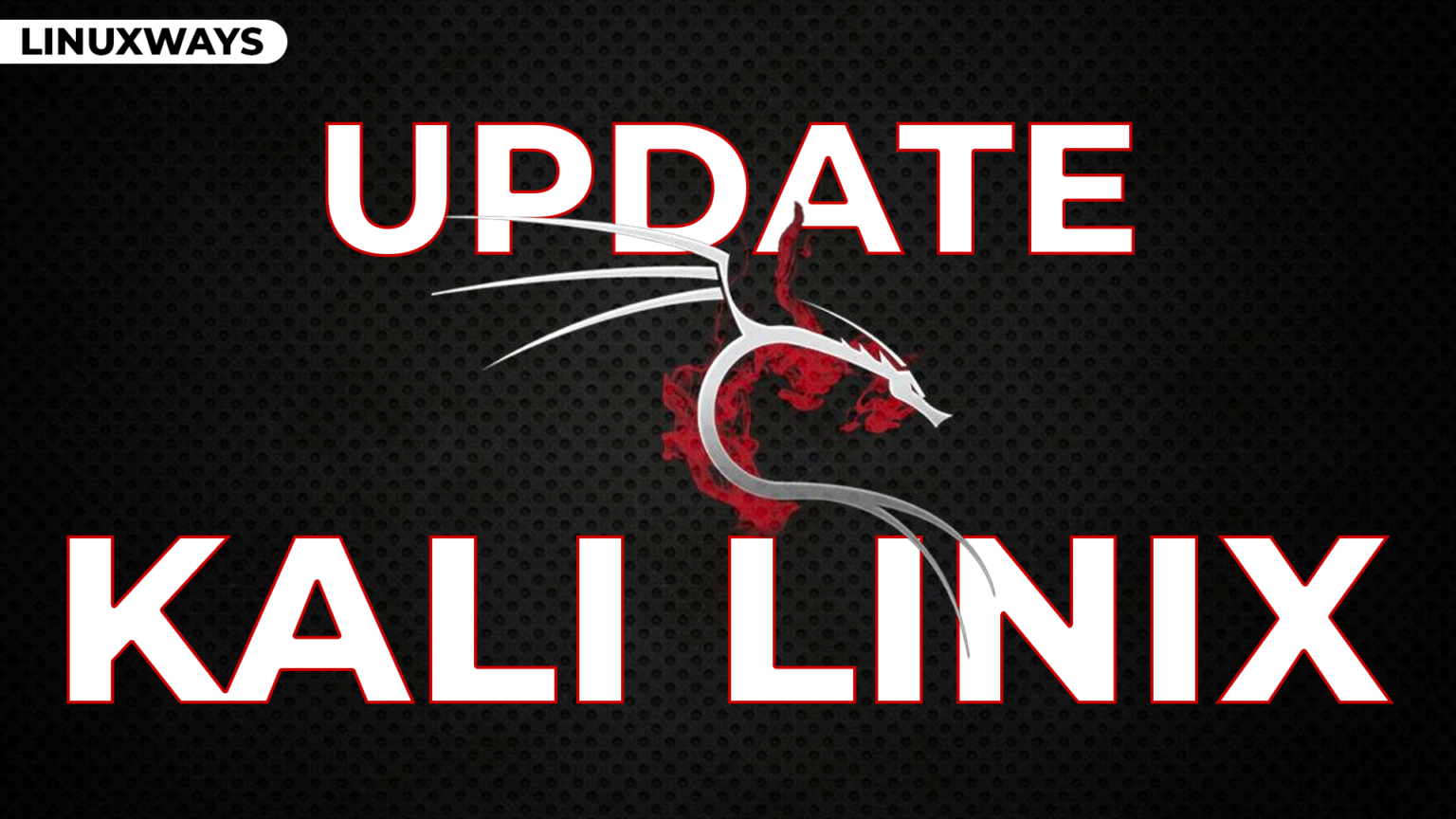 How to Update Kali Linux – LinuxWays