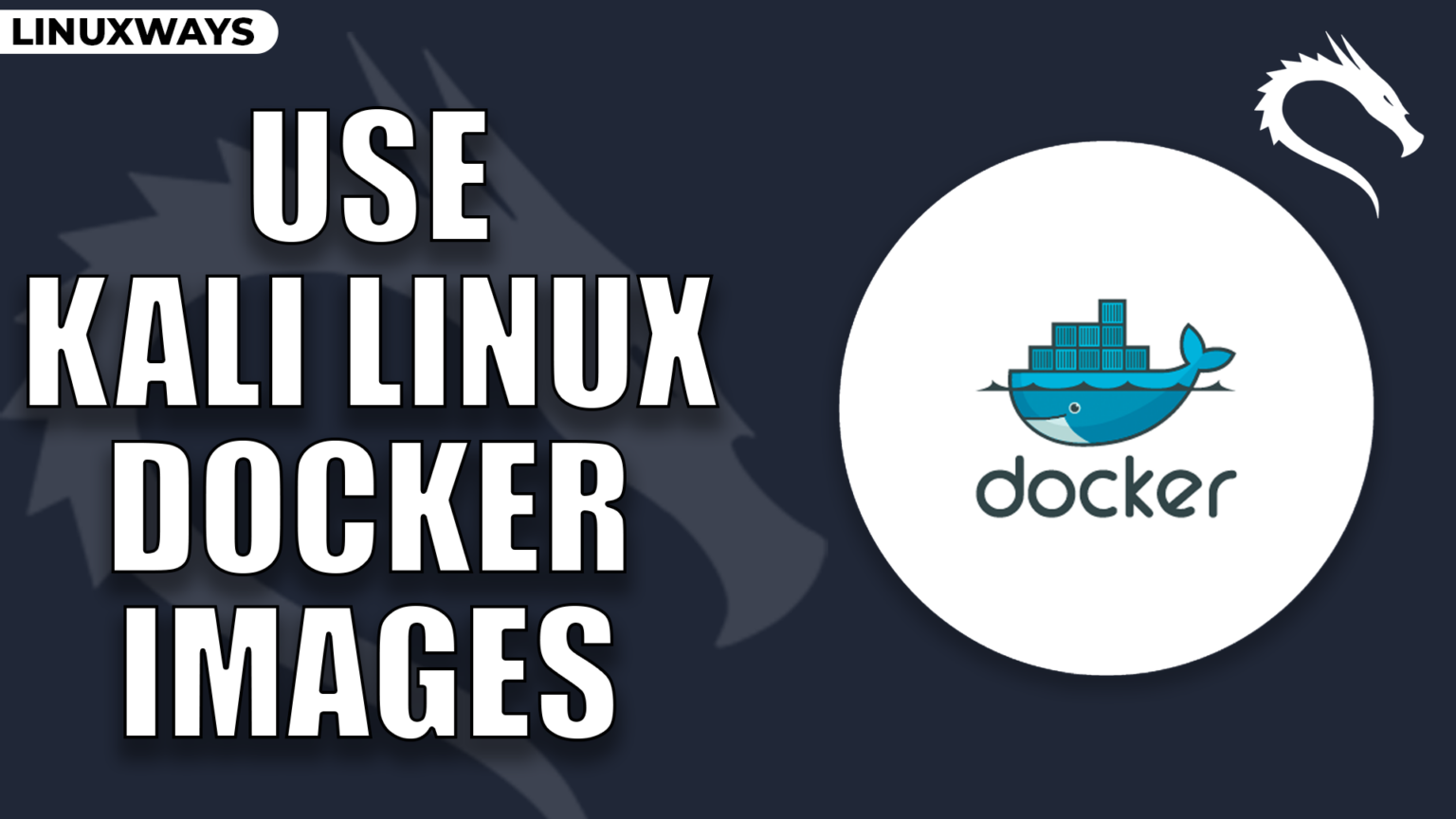 How to Use Kali Linux Docker Images- Installing and Running Kali Linux ...
