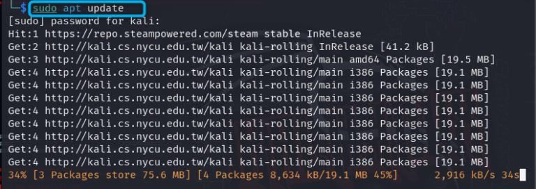 How to Update Kali Linux – LinuxWays