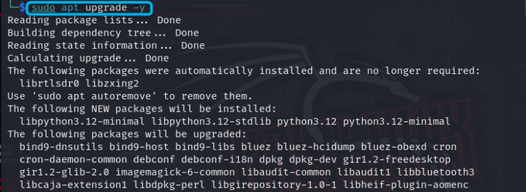 How to Update Kali Linux – LinuxWays