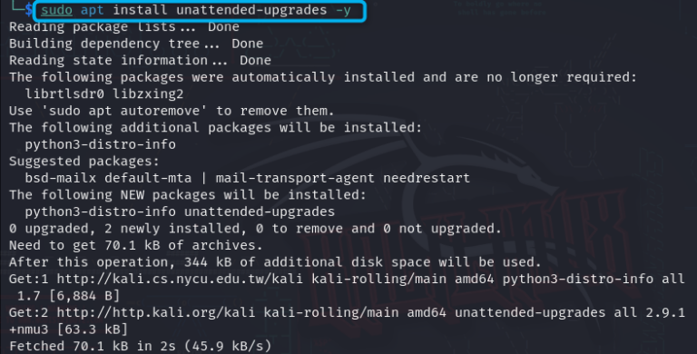 How to Update Kali Linux – LinuxWays