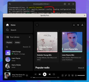 How to Install Spotify on Arch Linux – LinuxWays