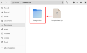 How to Unzip Files in Debian 12 – LinuxWays