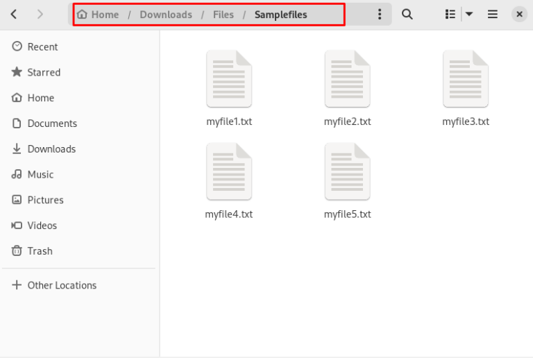 How To Unzip Files In Debian 12 Linuxways