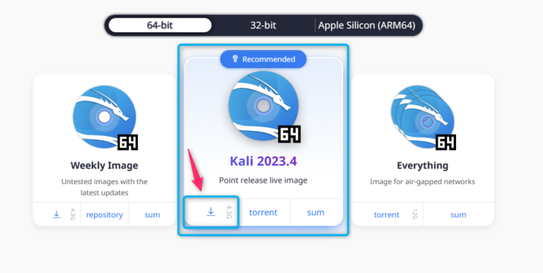How to Make a Live Kali Linux Bootable USB – LinuxWays