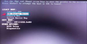 How to Make a Live Kali Linux Bootable USB – LinuxWays