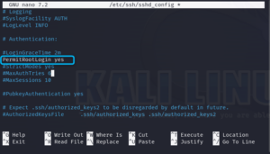 How to Enable Root Login in Kali Linux – LinuxWays