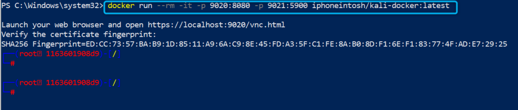 How to Run Kali Linux Online in Browser with Docker – LinuxWays