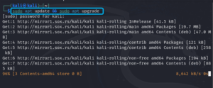 How to Install and Setup Firewall on Kali Linux – LinuxWays